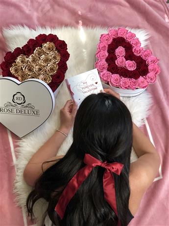 Home | Rose Deluxe, The World’s Longest Lasting Roses