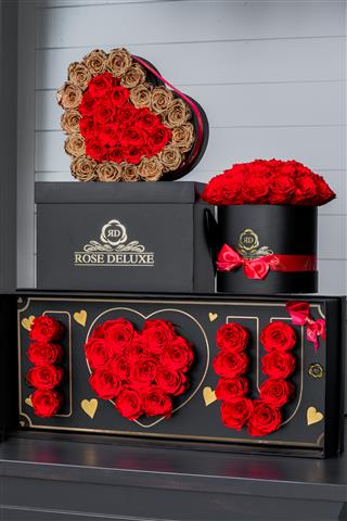 Home | Rose Deluxe, The World’s Longest Lasting Roses
